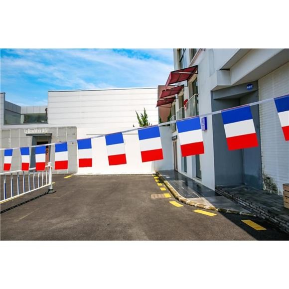 Accents | France Flag French Flag10feet76pcsnational Country World ...